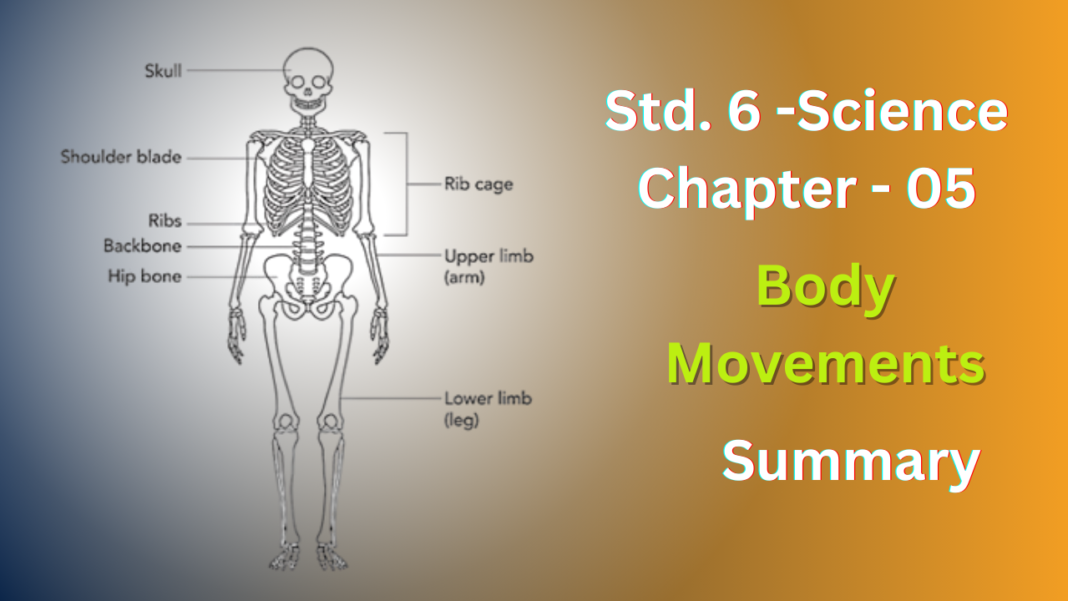 NCERT Solutions for Class 6 Science Chapter 5: Body Movements - Education85