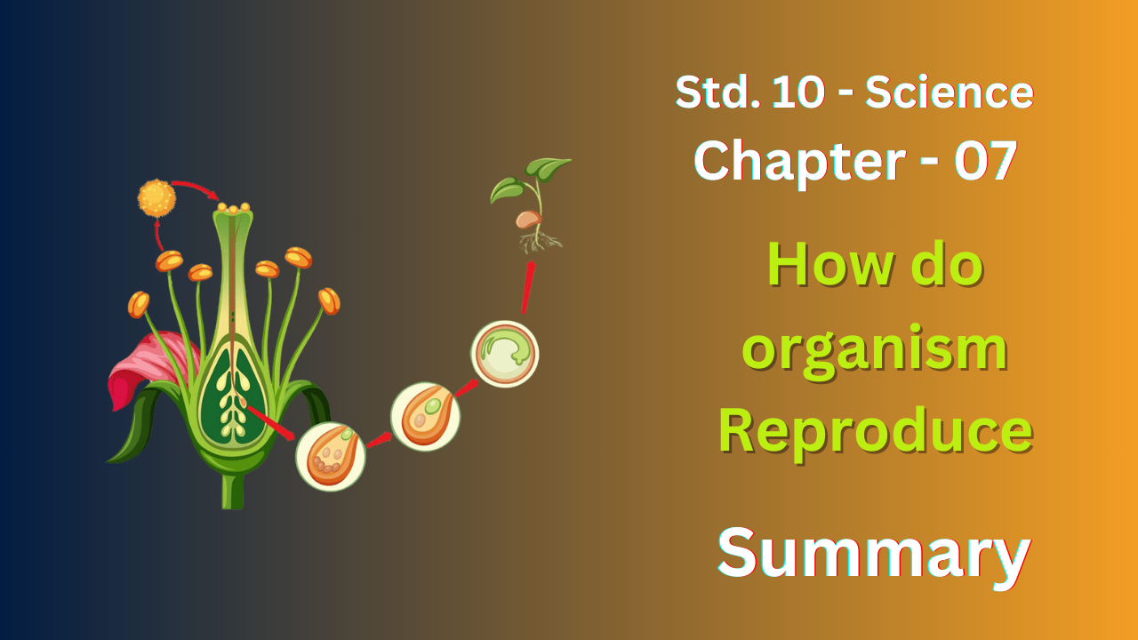 NCERT Class 10 Science Chapter 7 Solutions