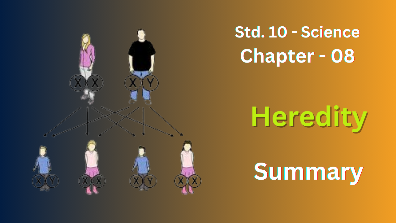 Heredity - education85.com