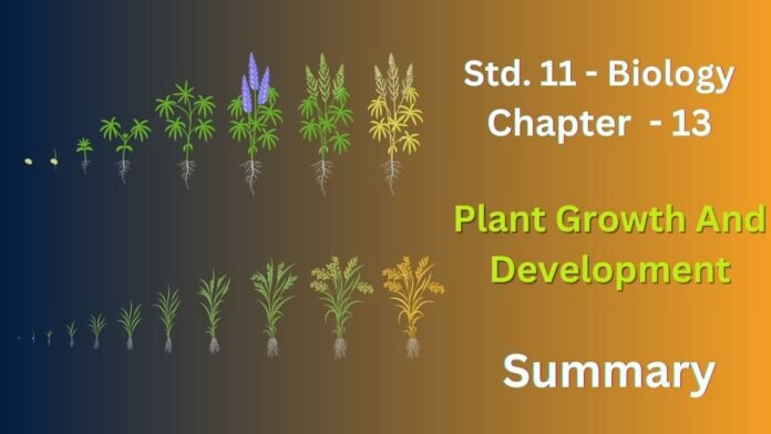 Class 11 Biology Chapter 13 – Plant Growth & Development