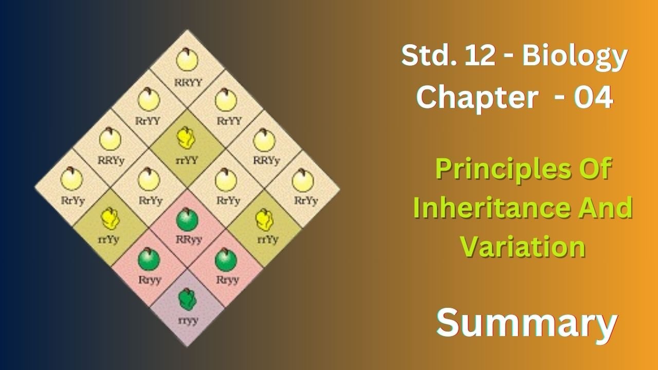 Class 12 Biology Chapter 4 – Principles of Inheritance