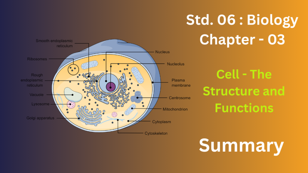 Cell - The Structure and Functions - education85.com