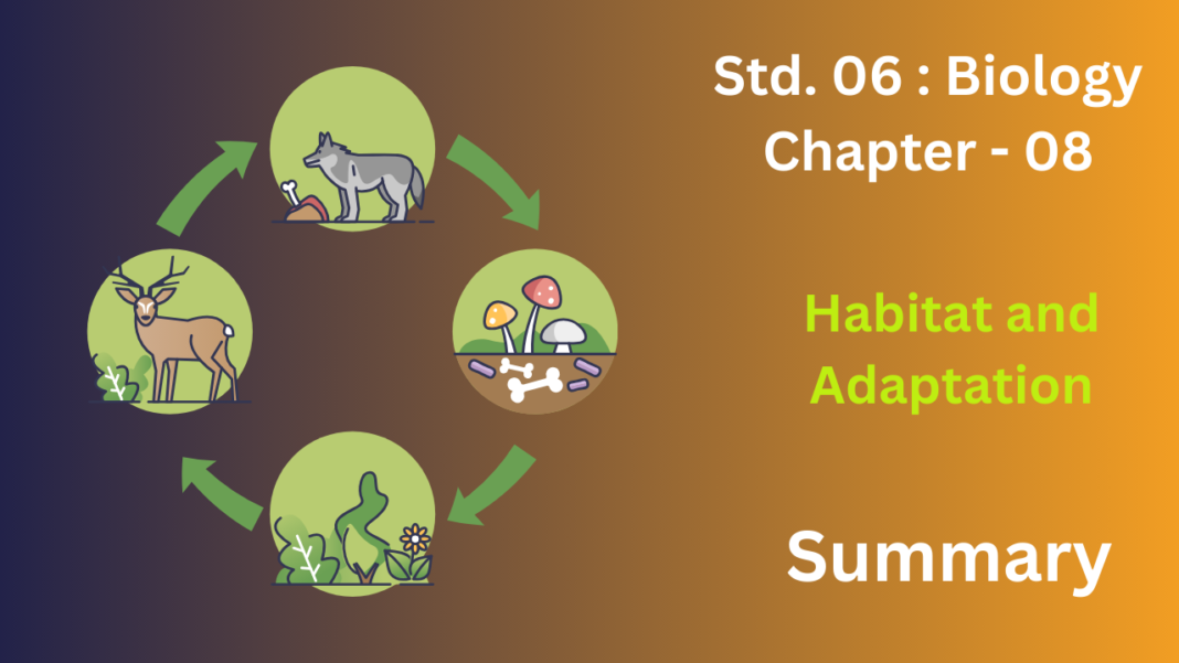 Habitat and Adaptation - education85.com